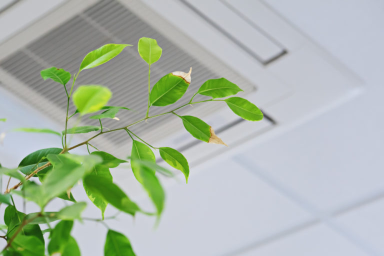What is the Importance of Indoor Air Quality (IAQ) in Commercial ...